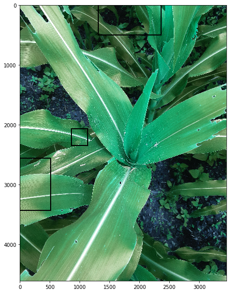 Corn Leaf Infection Detection Data Preprocessing And Custom