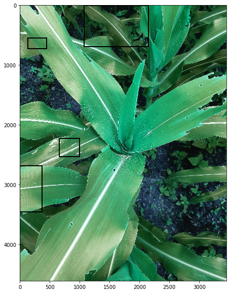 Corn Leaf Infection Detection Data Preprocessing And Custom