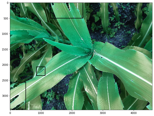 Corn Leaf Infection Detection Data Preprocessing And Custom
